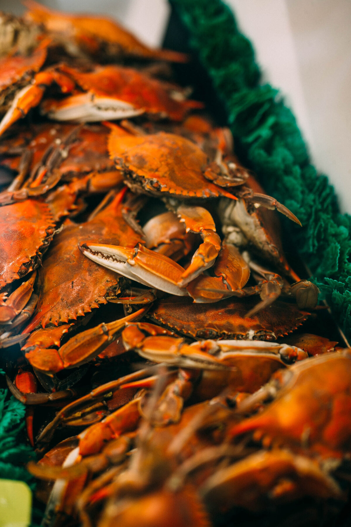 Shellfish – Hull’s Seafood Market & Restaurant