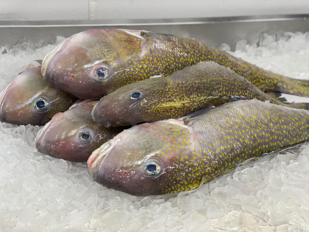 Whole Fish – Hull’s Seafood Market & Restaurant